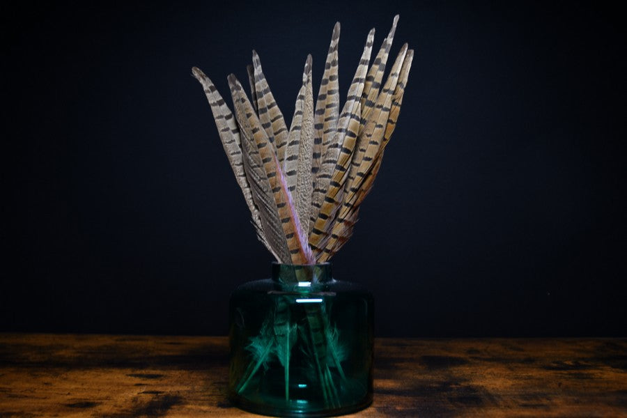 Grandes Plumes d'Oiseaux (entre 20 et 40 cm) - Plumes Naturelles