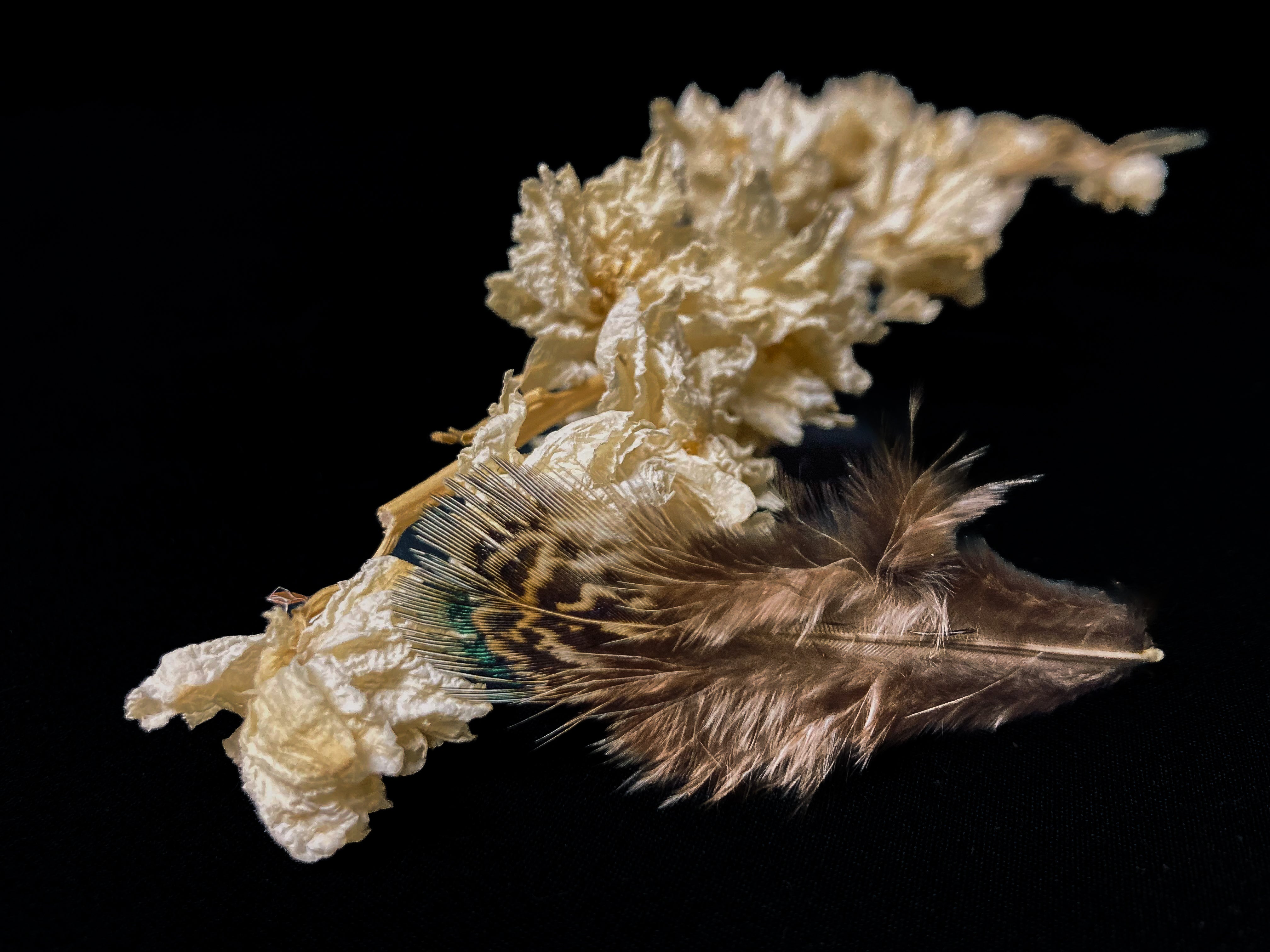 Plumes de faisan vert naturel "amande" 4-7 cm - Plumes Naturelles